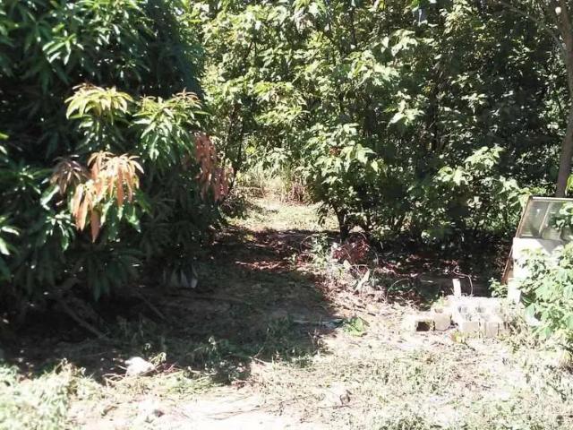 Casa / Sobrado para Venda em Piracicaba/SP Centro 1 Quartos