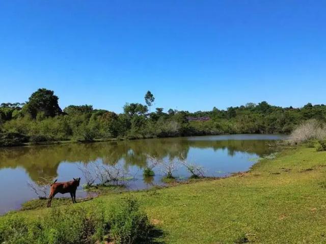 Casa / Sobrado para Venda em Portão/RS Zona Rural