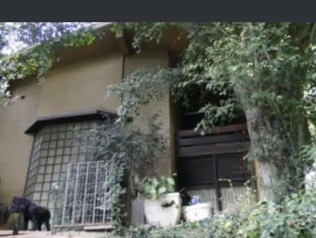 Casa / Sobrado para Venda em Porto Alegre/RS Cristal 4 Quartos