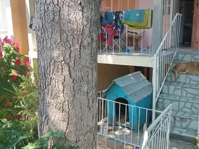 Casa / Sobrado para Venda em Porto Alegre/RS Espírito Santo 2 Quartos