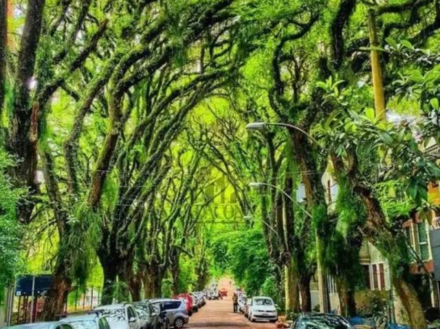Casa / Sobrado para Venda em Porto Alegre/RS Floresta 3 Quartos