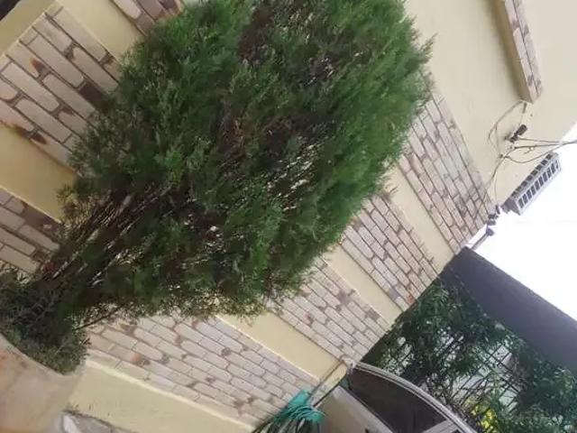 Casa / Sobrado para Venda em Porto Alegre/RS Partenon 3 Quartos