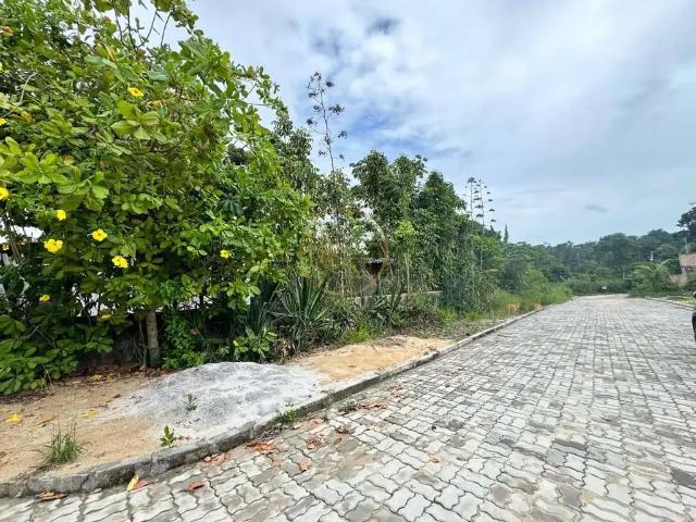 Casa / Sobrado para Venda em Porto Seguro/BA Coroa Vermelha 2 Quartos