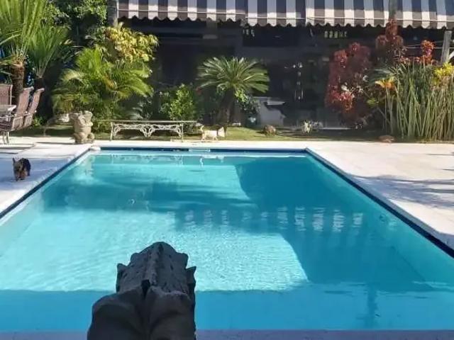 Casa / Sobrado para Venda em Rio de Janeiro/RJ Barra da Tijuca 5 Quartos