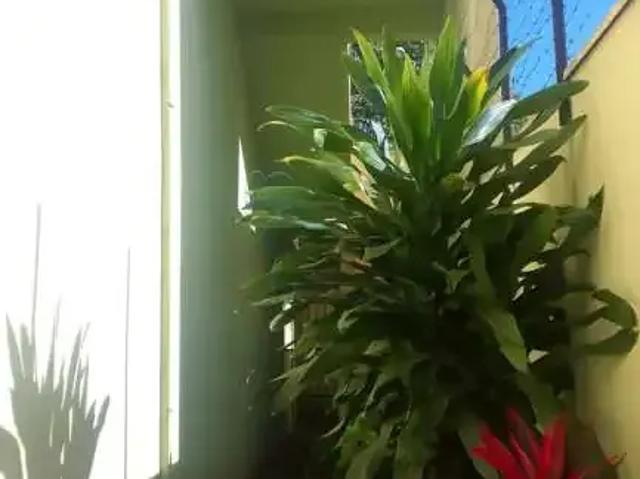 Casa / Sobrado para Venda em Ribeirão Preto/SP Centro 4 Quartos