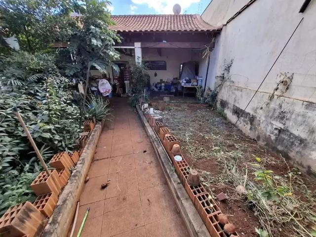 Casa / Sobrado para Venda em Ribeirão Preto/SP Presidente Médici 6 Quartos