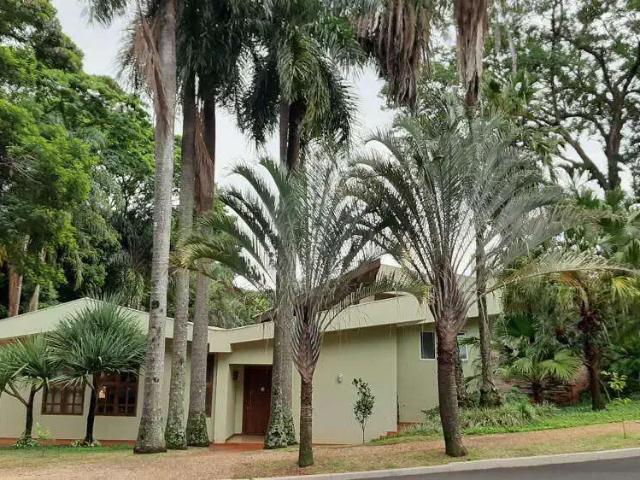 Casa / Sobrado para Venda em Ribeirão Preto/SP Ribeirânia 6 Quartos