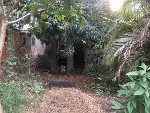 Casa / Sobrado para Venda em São Caetano do Sul/SP Nova Gerty 3 Quartos