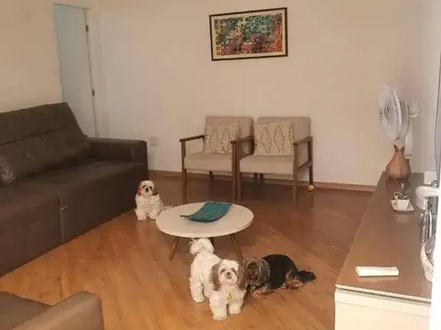Casa / Sobrado para Venda em São Caetano do Sul/SP Olímpico 4 Quartos