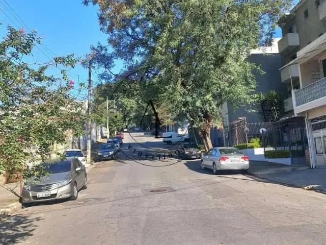 Casa / Sobrado para Venda em São Bernardo do Campo/SP Taboão 3 Quartos