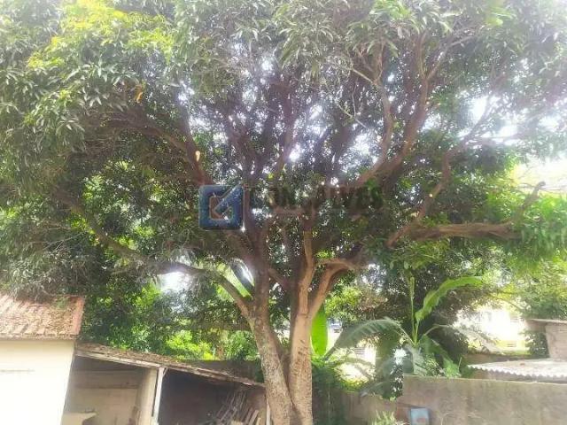 Casa / Sobrado para Venda em São Bernardo do Campo/SP Paulicéia 3 Quartos