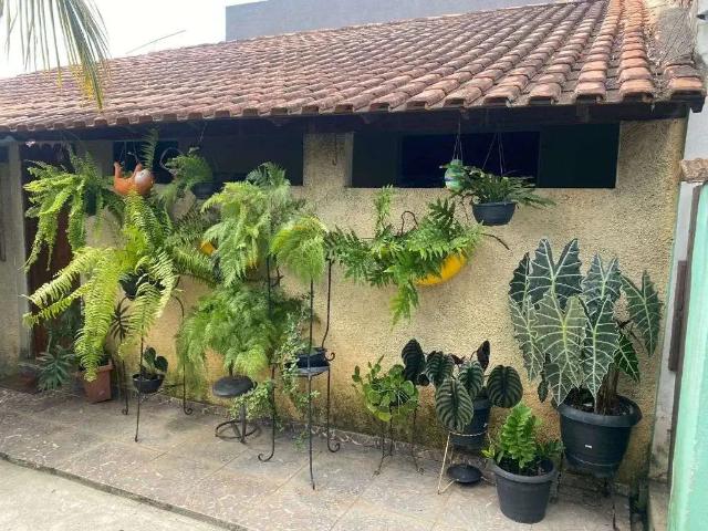 Casa / Sobrado para Venda em São Gonçalo/RJ Amendoeira 2 Quartos
