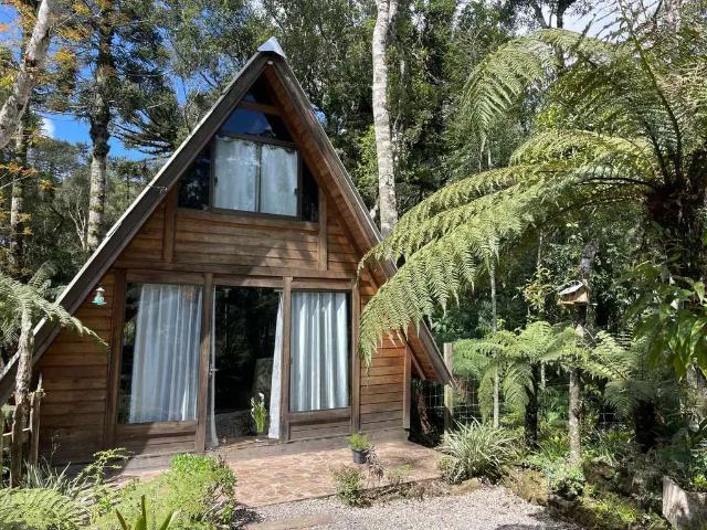 Casa / Sobrado para Venda em São Francisco de Paula/RS Colinas 4 Quartos