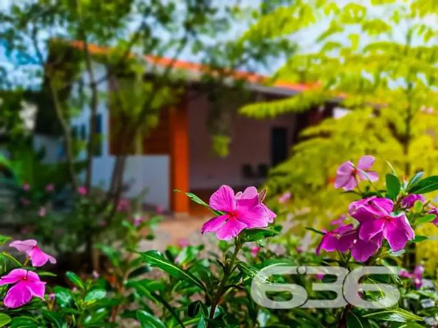 Casa / Sobrado para Venda em São Francisco do Sul/SC Ubatuba 3 Quartos