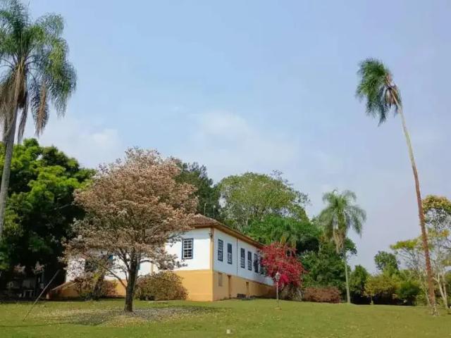 Casa / Sobrado para Venda em São João da Boa Vista/SP Pedregulho 13 Quartos