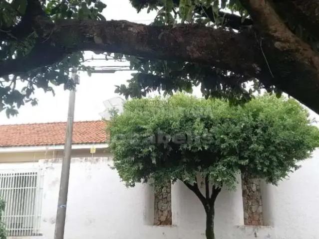 Casa / Sobrado para Venda em São José do Rio Preto/SP Jardim América 4 Quartos