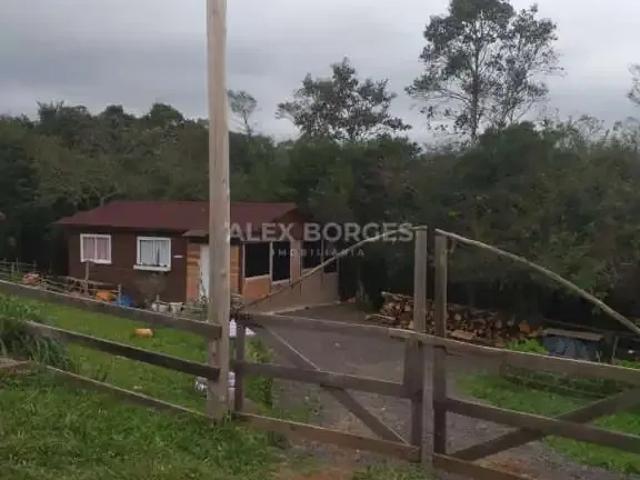 Casa / Sobrado para Venda em São Leopoldo/RS Fazenda São Borja 2 Quartos