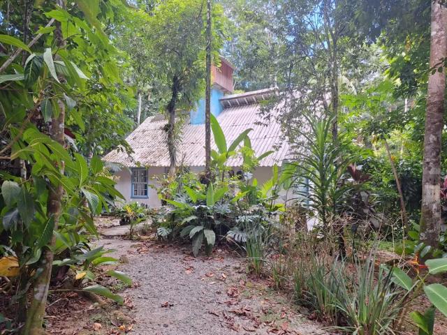 Casa / Sobrado para Venda em São Sebastião/SP Sertão do Camburi