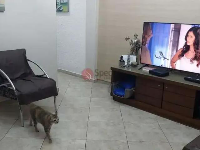 Casa / Sobrado para Venda em São Paulo/SP Tatuapé 2 Quartos