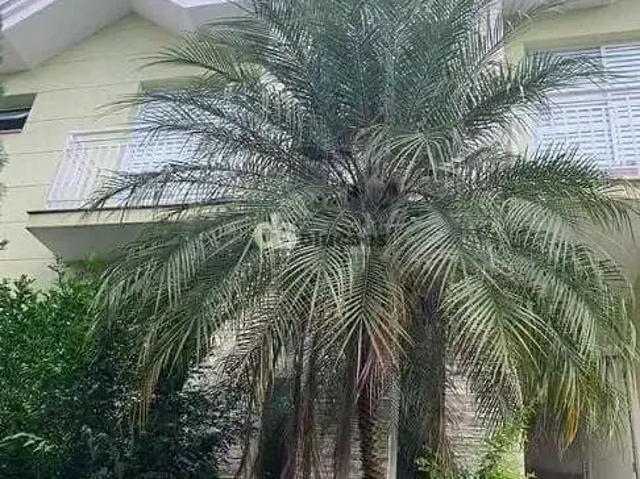 Casa / Sobrado para Venda em São Paulo/SP Tremembé 4 Quartos