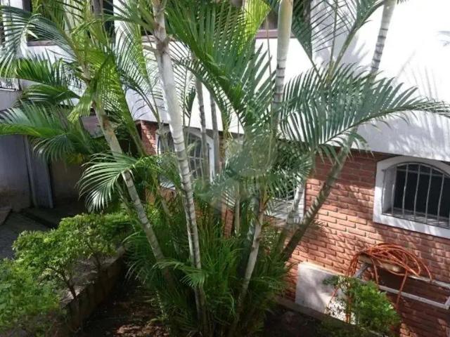 Casa / Sobrado para Venda em São Paulo/SP Tucuruvi 3 Quartos