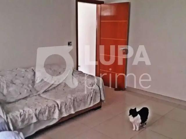 Casa / Sobrado para Venda em São Paulo/SP Vila Maria Alta 2 Quartos
