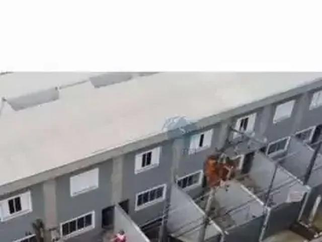 Casa / Sobrado para Venda em São Paulo/SP Vila Moraes 3 Quartos