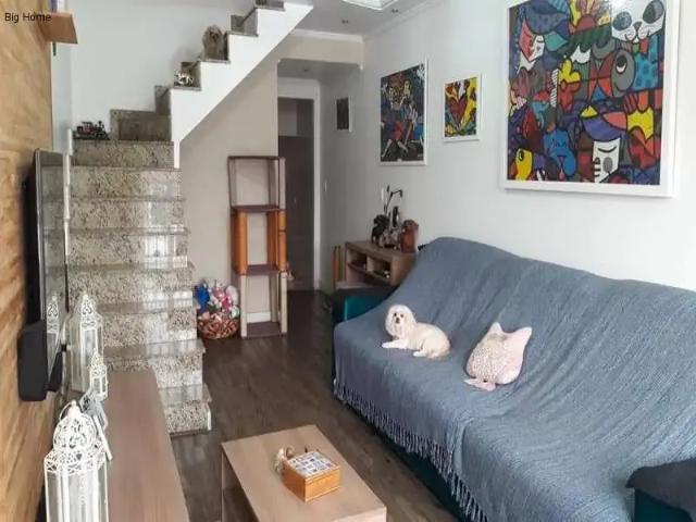 Casa / Sobrado para Venda em São Paulo/SP Vila Basileia 3 Quartos