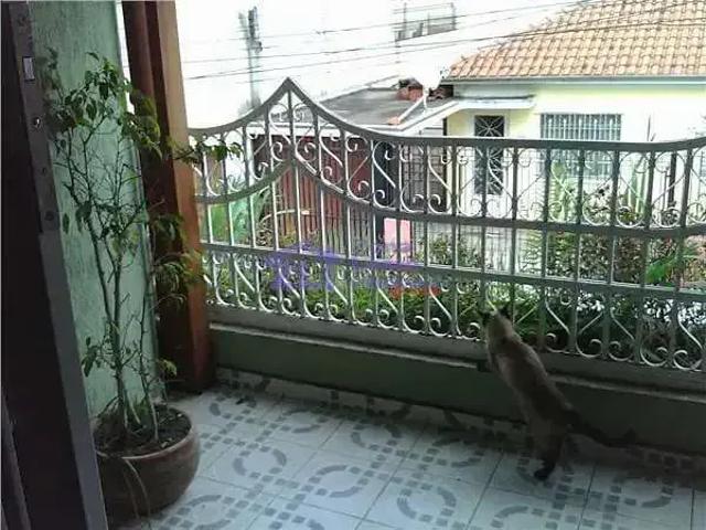 Casa / Sobrado para Venda em São Paulo/SP Vila Carrão 4 Quartos