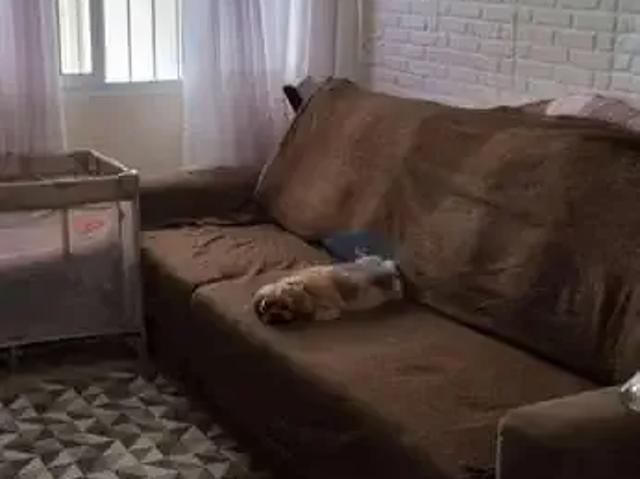 Casa / Sobrado para Venda em São Paulo/SP Vila Dom Pedro I 3 Quartos