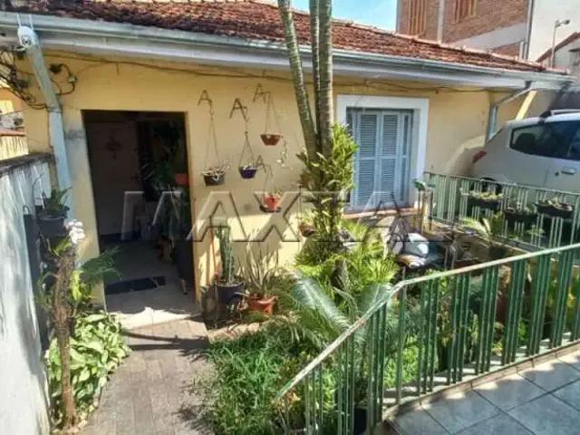 Casa / Sobrado para Venda em São Paulo/SP Vila Guaca 3 Quartos