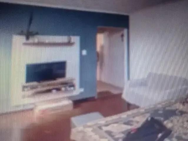 Casa / Sobrado para Venda em São Paulo/SP Vila Ponte Rasa 2 Quartos