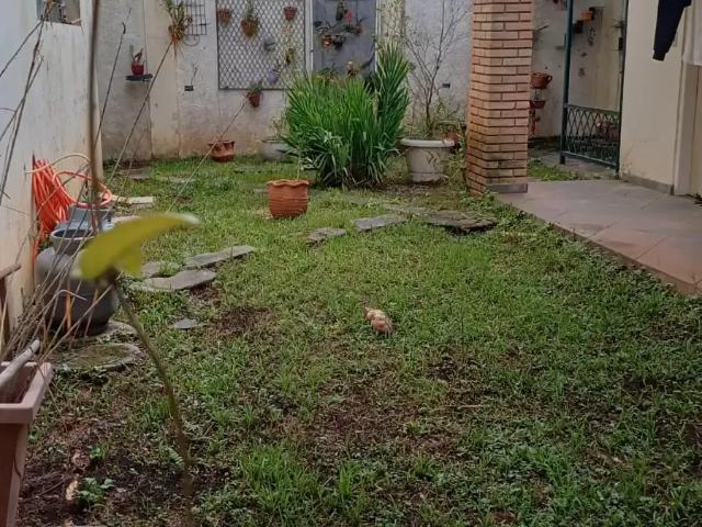 Casa / Sobrado para Venda em São Paulo/SP Bortolândia 5 Quartos