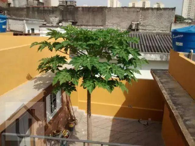Casa / Sobrado para Venda em São Paulo/SP Butantã 8 Quartos