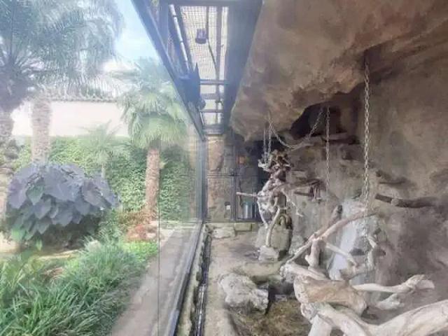 Casa / Sobrado para Venda em São Paulo/SP Horto Florestal 4 Quartos