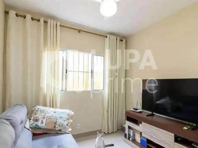 Casa / Sobrado para Venda em São Paulo/SP Jardim Peri 1 Quartos