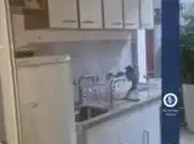 Casa / Sobrado para Venda em São Paulo/SP Mooca 3 Quartos