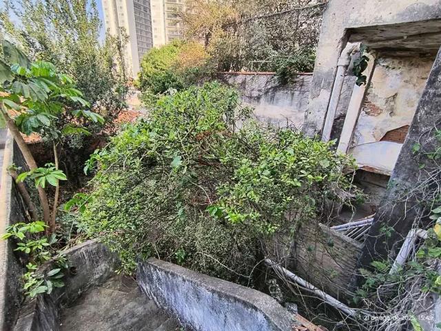 Casa / Sobrado para Venda em São Paulo/SP Mooca 3 Quartos