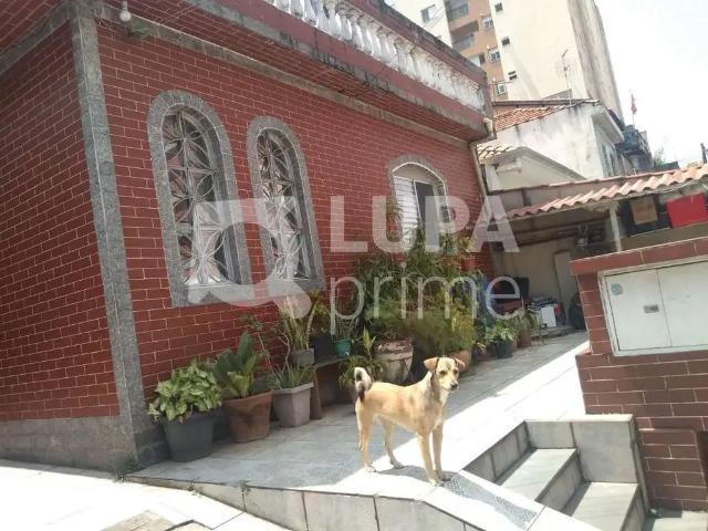 Casa / Sobrado para Venda em São Paulo/SP Parada Inglesa 6 Quartos