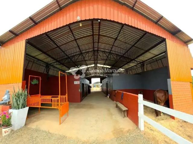 Casa / Sobrado para Venda em São Roque/SP Jardim Guaçu