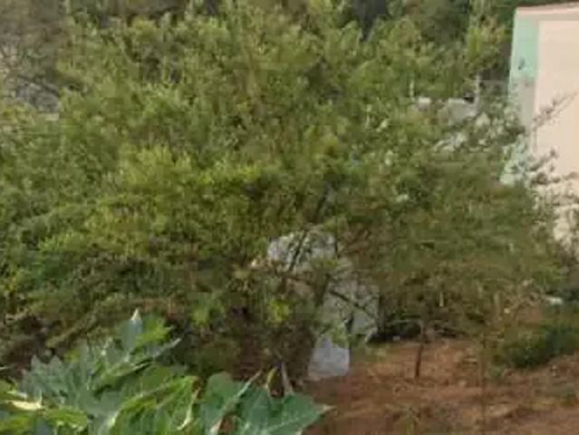 Casa / Sobrado para Venda em Santana de Parnaíba/SP Cidade São Pedro Gleba A