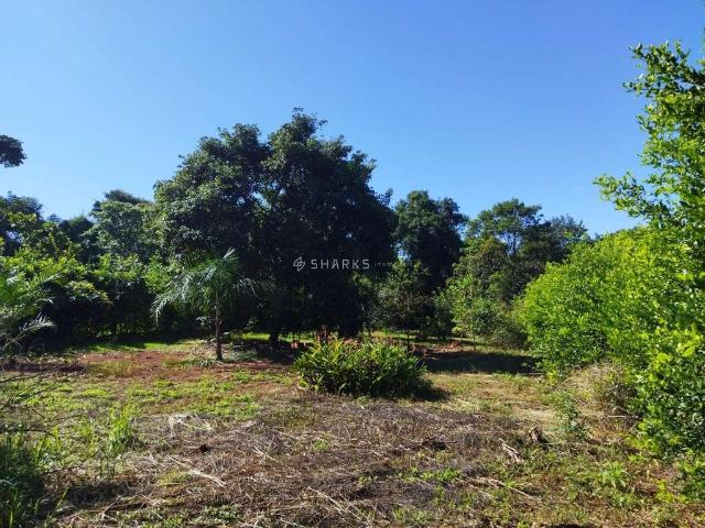 Casa / Sobrado para Venda em Santo Antônio de Goiás/GO Zona Rural