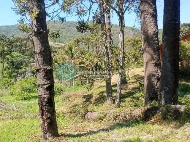 Casa / Sobrado para Venda em Santo Antônio do Pinhal/SP Centro 1 Quartos