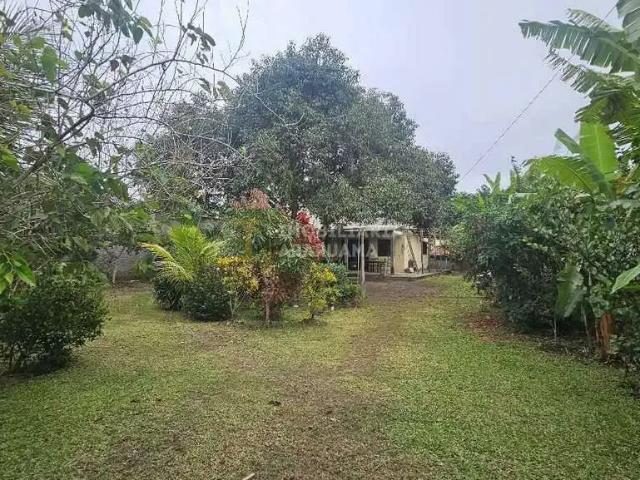 Casa / Sobrado para Venda em Saquarema/RJ Jardim Ipitangas 2 Quartos