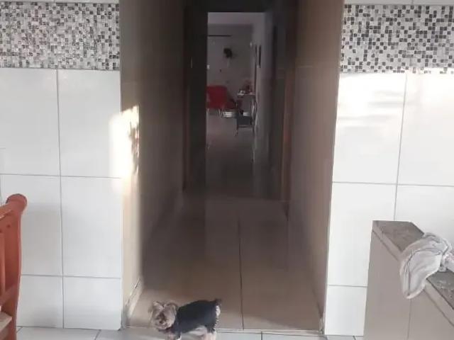 Casa / Sobrado para Venda em Seropédica/RJ Campo Lindo 4 Quartos