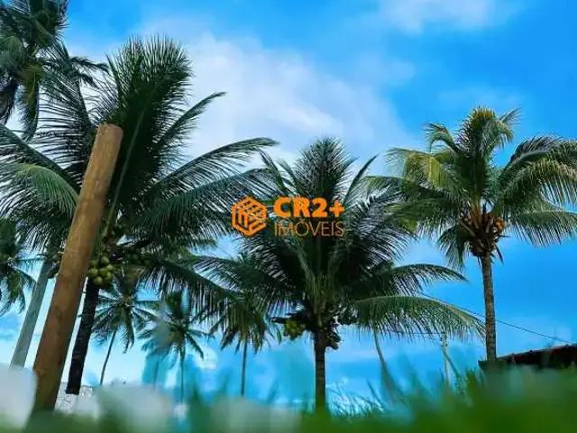 Casa / Sobrado para Venda em Sirinhaém/PE Barra de Sirinhaém 6 Quartos