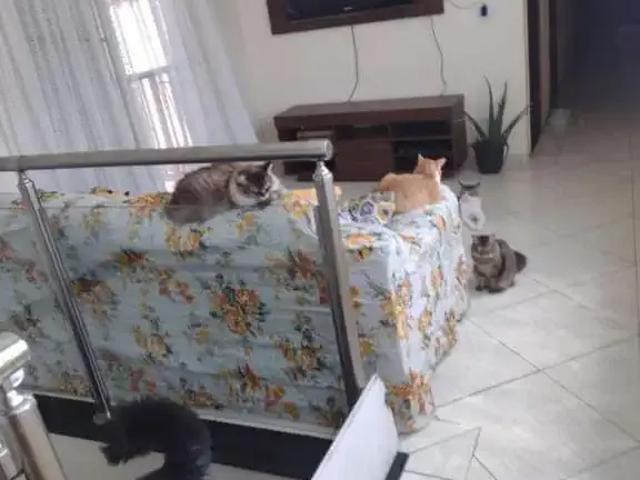 Casa / Sobrado para Venda em Suzano/SP Cidade Boa Vista 4 Quartos
