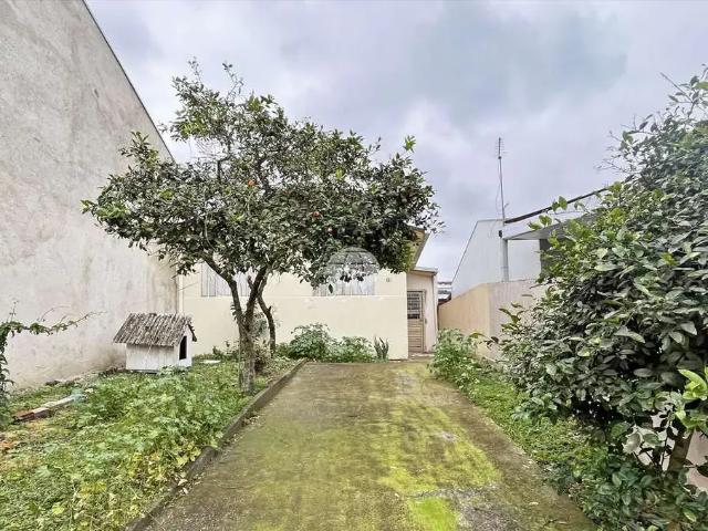 Casa / Sobrado para Locação em Curitiba/PR Campo de Santana 2 Quartos