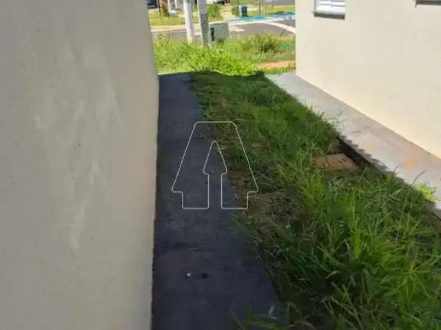 Casa / Sobrado para Locação em Araçatuba/SP Cafezópolis 2 Quartos
