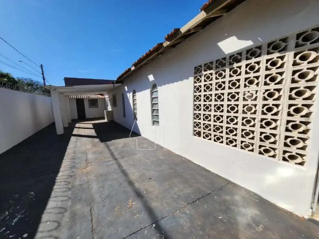 Casa / Sobrado para Locação em Araçatuba/SP Palmeiras 3 Quartos